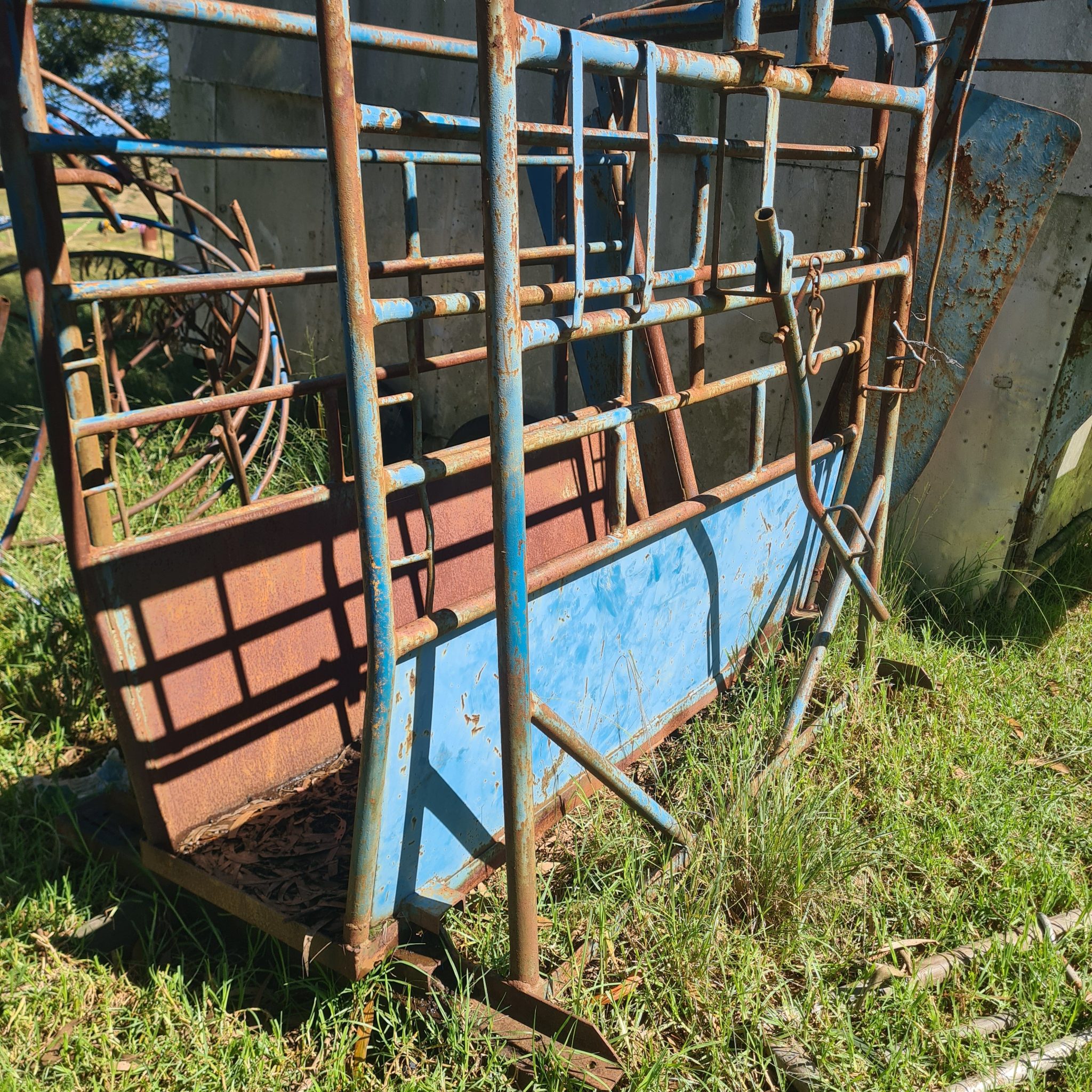 Cattle neck clamp and scale – Borgy's Farm Stuff
